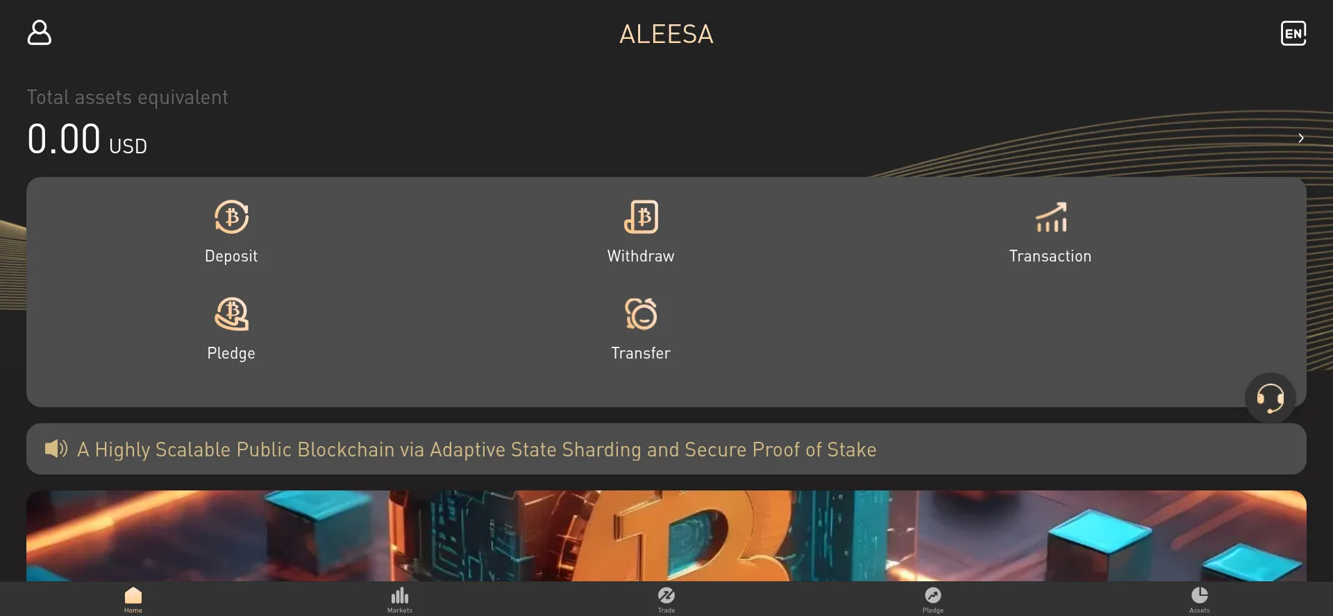 Aleesa.cc Огляд: Шахрайство? Дуже низька надійність 16/100