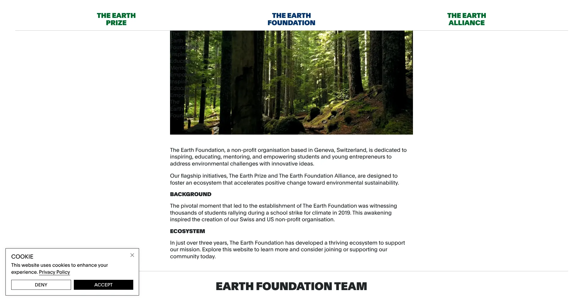 Earth-foundation.org: перевірка фінсервісу (Довіра 72/100)