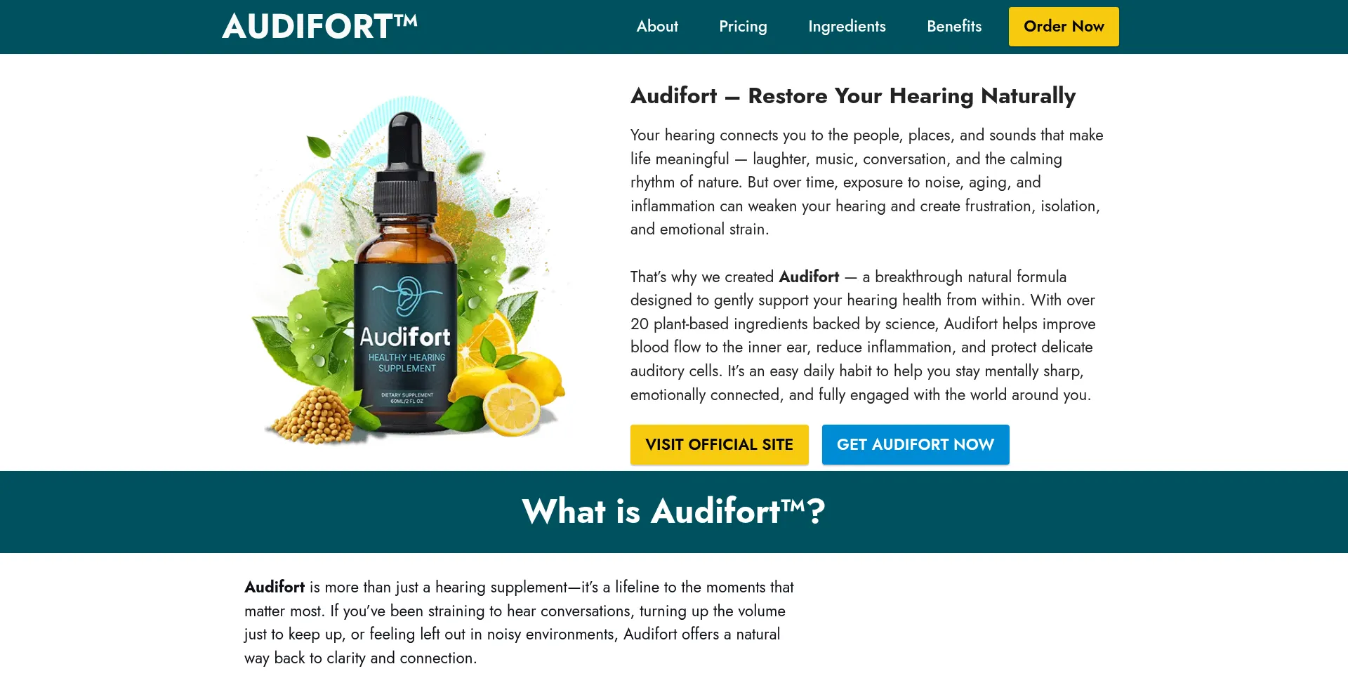 Us-audi-fort-us.com Огляд: Шахрайство? Дуже низька надійність 1/100